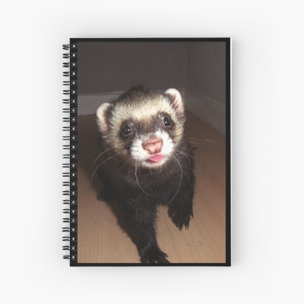 Ferret Gifts & Merchandise for Sale | Redbubble