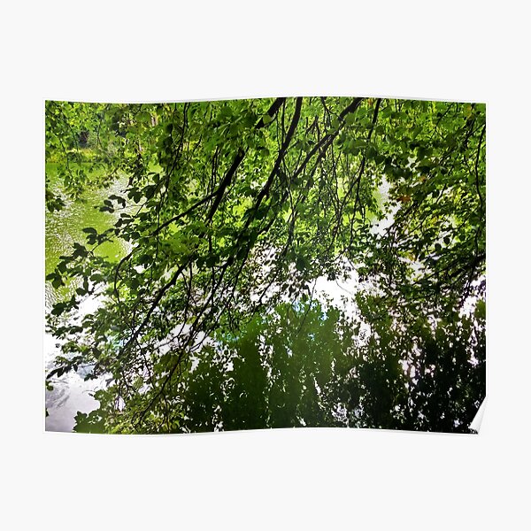 Póster «MI. #242 |☼| Reflejos de árboles en el agua (Elsham Hall ...