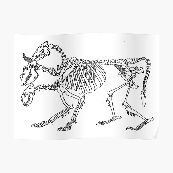 "Chimera Skeleton" Poster by LydiaWoods | Redbubble