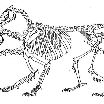 "Chimera Skeleton" Poster for Sale by LydiaWoods | Redbubble