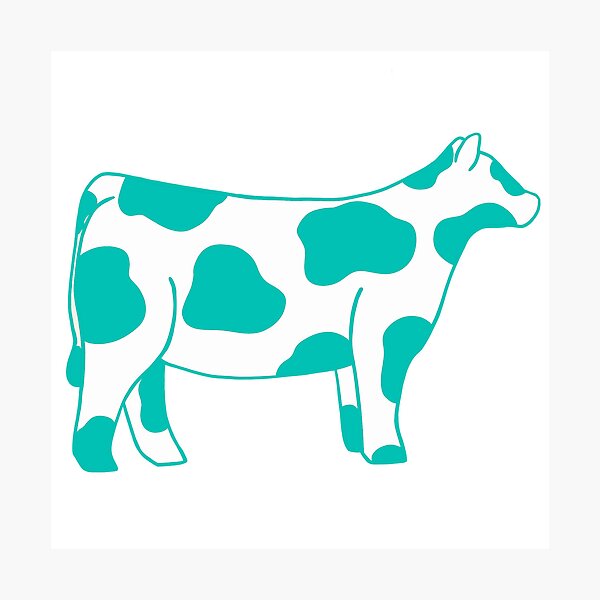 "Turquoise Cow Print Cow " Photographic Print for Sale by taylorj1215 ...
