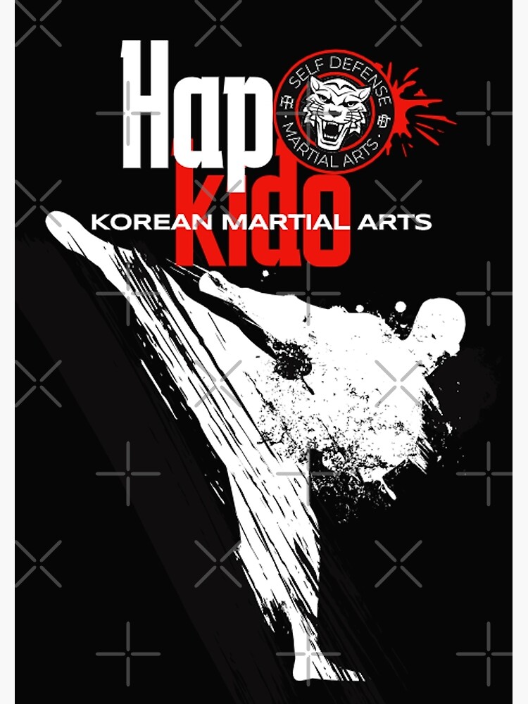 "Hap Ki Do Korean Martial Arts Hapkido" Poster for Sale by CattlettArt ...