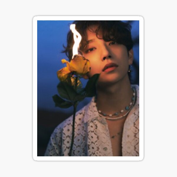 "Seventeen - Joshua" Sticker for Sale by Nice--Things | Redbubble