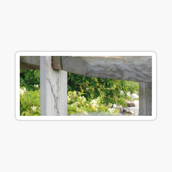 "Split rail honeysuckle" Sticker for Sale by CelticMutt | Redbubble