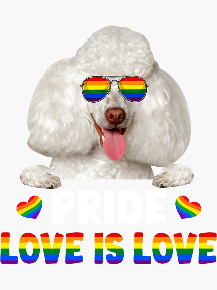 Pegatina «CANICHE ORGULLO GAY AMANTE DE PERROS LGBT DIVERTIDA BANDERA ...