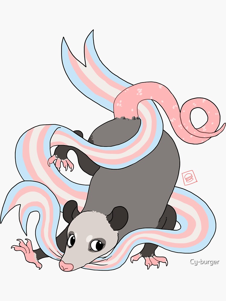 "Transgender Possum" Sticker for Sale by Cy-burger | Redbubble