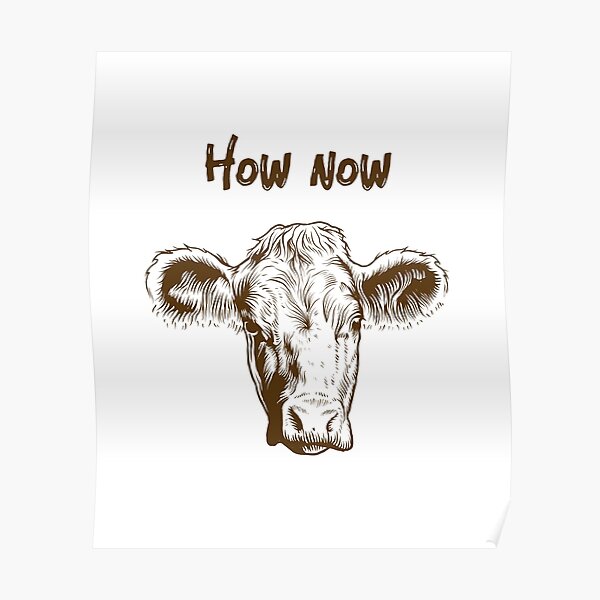"How Now Brown Cow! " Poster for Sale by LifeSpice | Redbubble