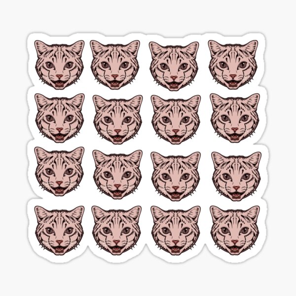 " Beluga Cat,Cat Gift" Sticker for Sale by Designista436 | Redbubble