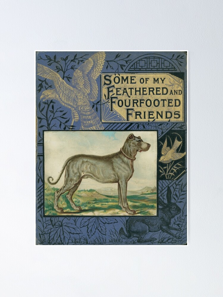 "Some of my Feathered and Four Footed Friends (1883) - Vintage Book ...