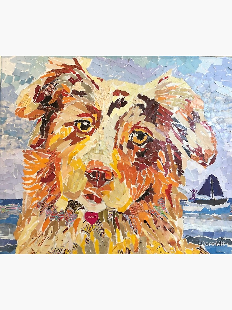 "Australian Shepherd / Border Collie Collage" Poster for Sale by ...