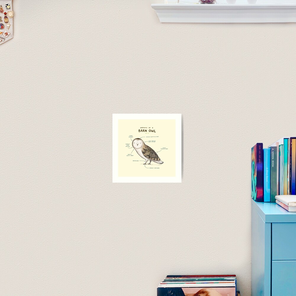 "Anatomy of a Barn Owl" Art Board Print for Sale by Sophie Corrigan ...