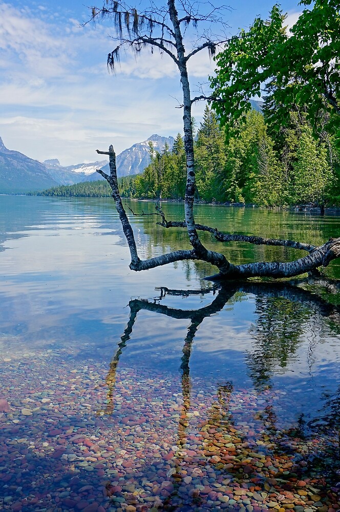 "Lake View" by Harry Oldmeadow | Redbubble