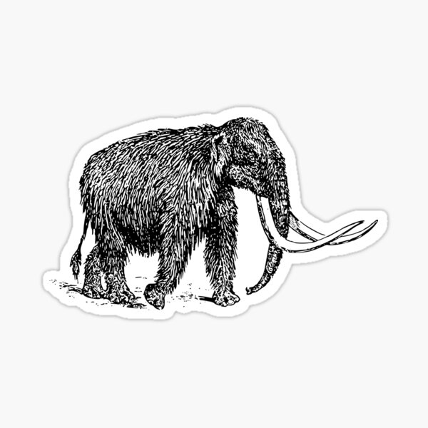 "Mammoth" Sticker for Sale by hrcdesign | Redbubble