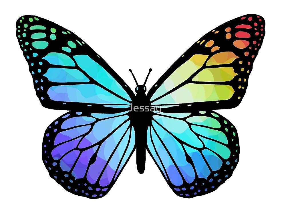 "Rainbow Butterfly" by Jessay | Redbubble