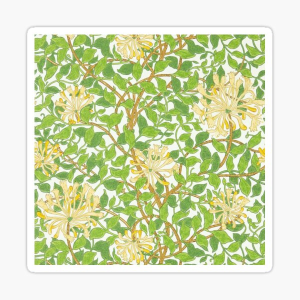"William Morris Honeysuckle Green Cream Chocolate Floral" Sticker by ...