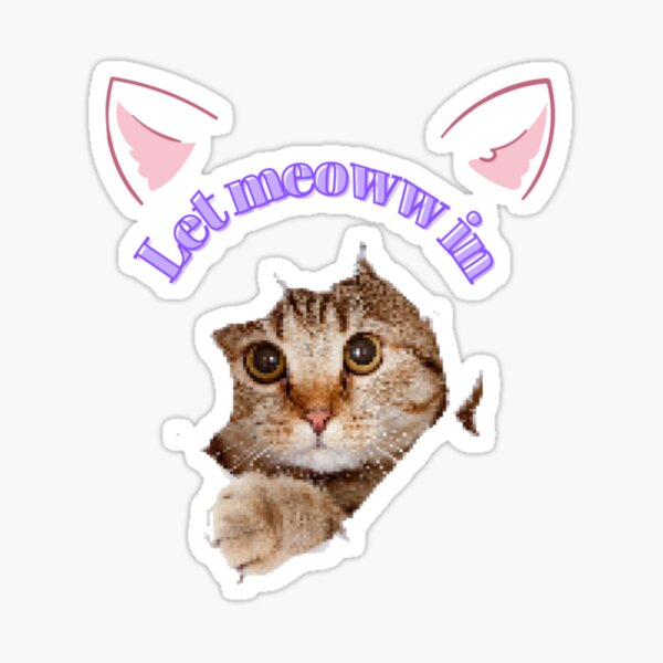 "Let Meoww in" Sticker for Sale by Kaarnikdesigns | Redbubble
