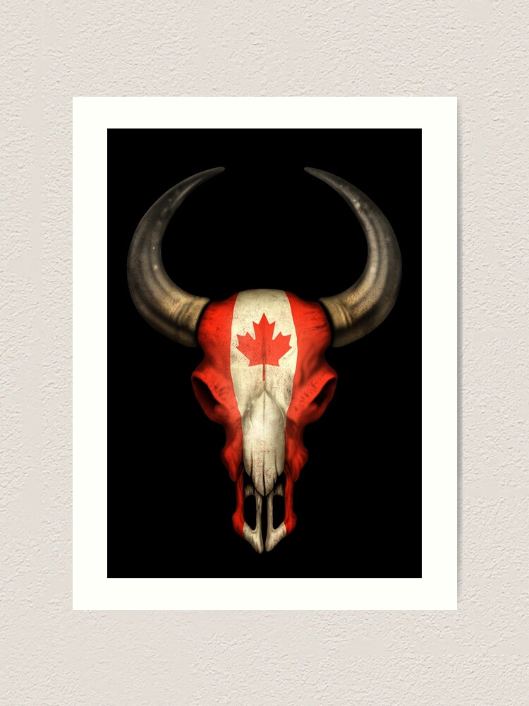 "Canadian Flag Bull Skull" Art Print for Sale by JeffBartels | Redbubble