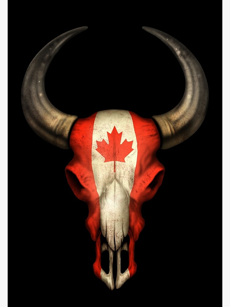 "Canadian Flag Bull Skull" Art Print for Sale by JeffBartels | Redbubble