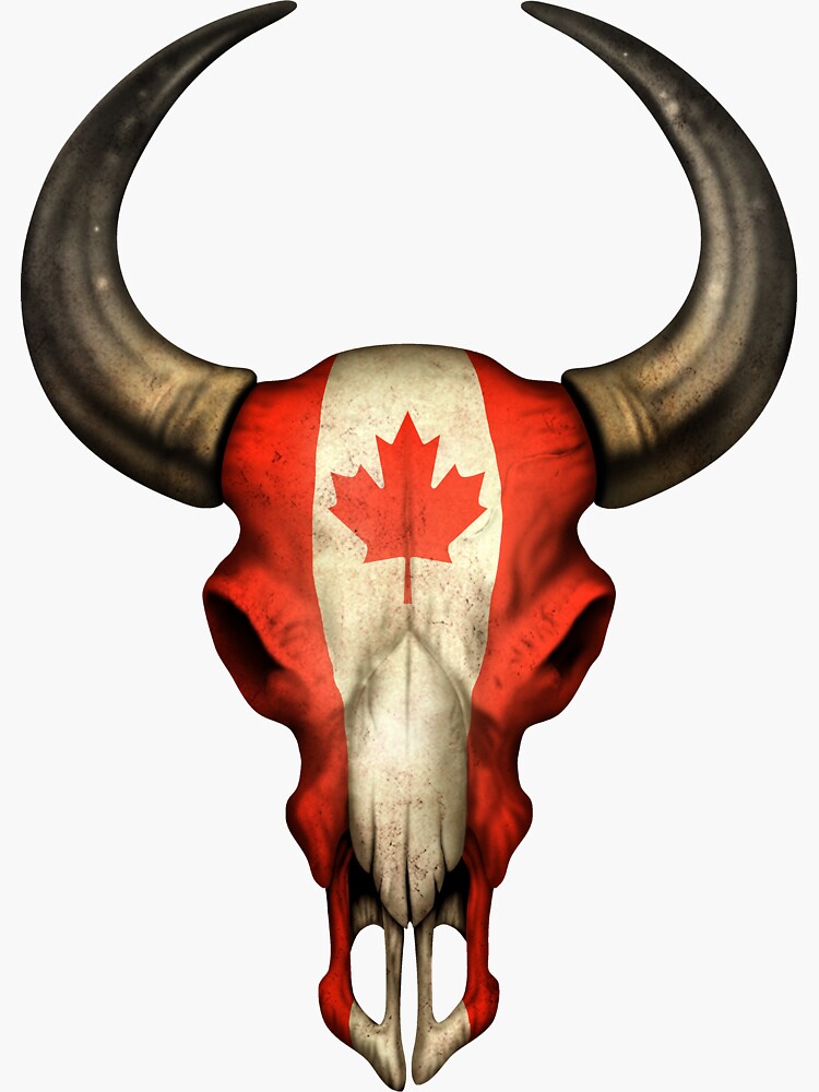 "Canadian Flag Bull Skull" Sticker for Sale by JeffBartels | Redbubble