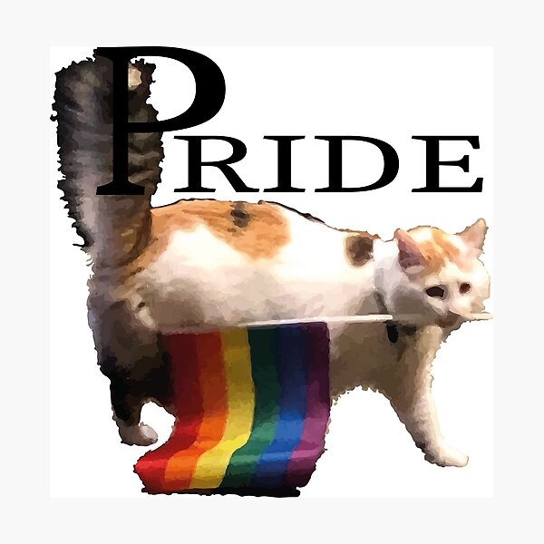 Lámina fotográfica «Gato del orgullo con bandera LGBTQ» de ...