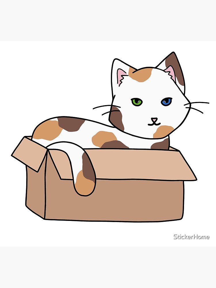 "Calico Cat in a Box" Poster for Sale by StickerHome | Redbubble