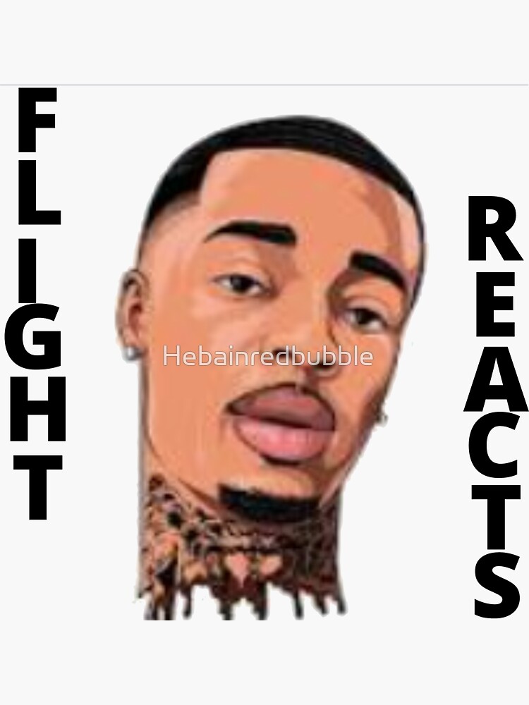 "Flight Reacts" Sticker for Sale by Hebainredbubble | Redbubble