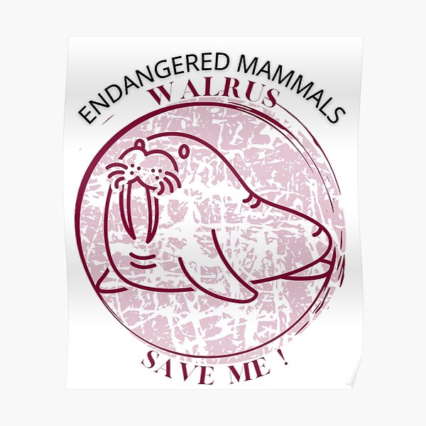 " Walrus" Poster for Sale by yassooarts | Redbubble