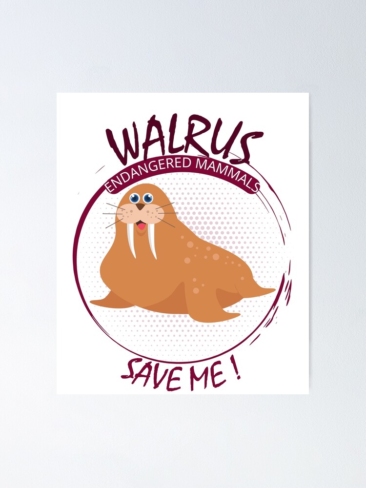 "Walrus" Poster for Sale by yassooarts | Redbubble