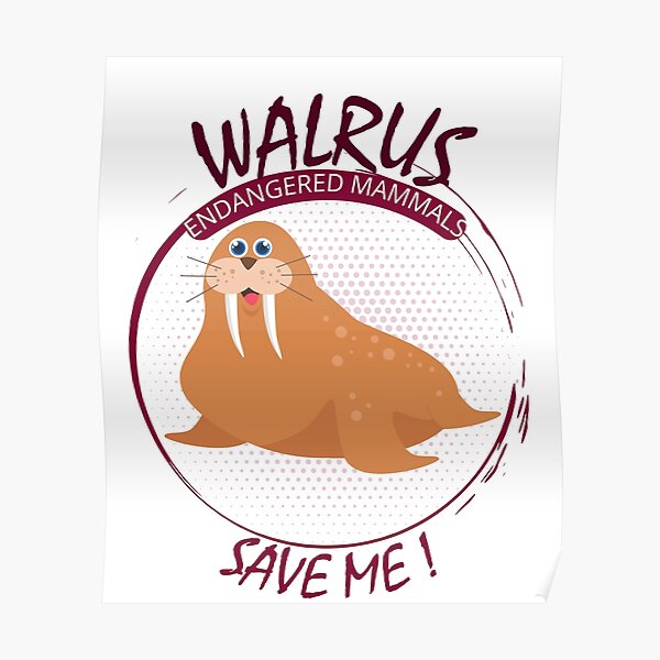 "Walrus" Poster for Sale by yassooarts | Redbubble