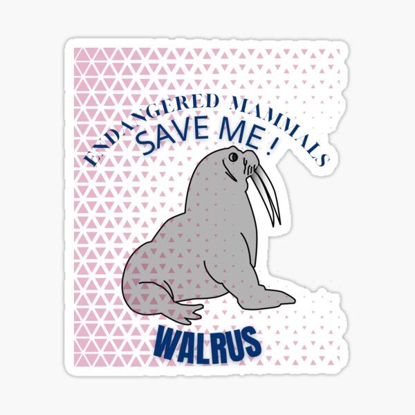 " Walrus" Sticker for Sale by yassooarts | Redbubble