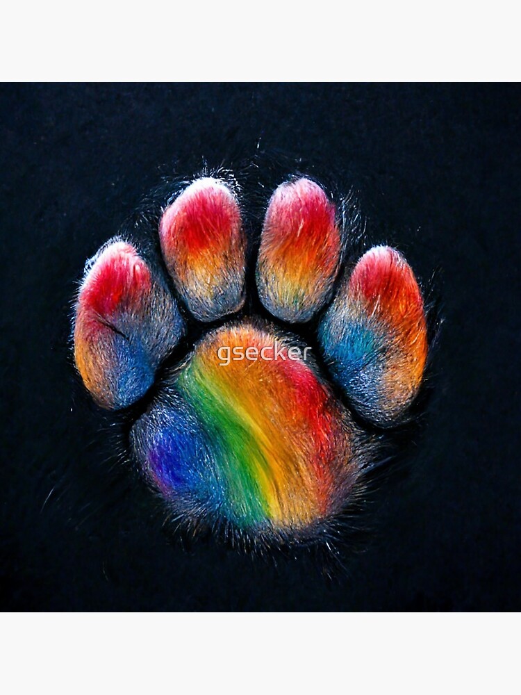 "Rainbow paw print 1" Sticker for Sale by gsecker | Redbubble