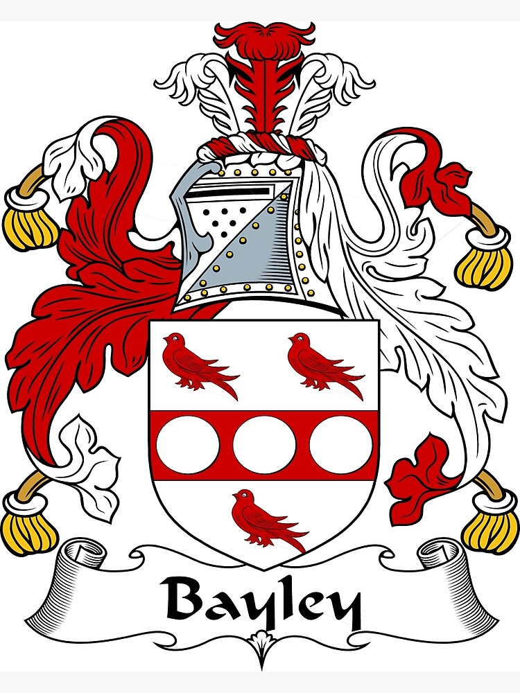 "Bayley " Poster by HaroldHeraldry | Redbubble