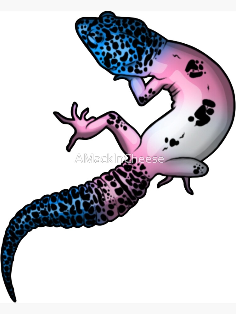 "Leopard Gecko Trans Pride Flag Design" Poster for Sale by ...