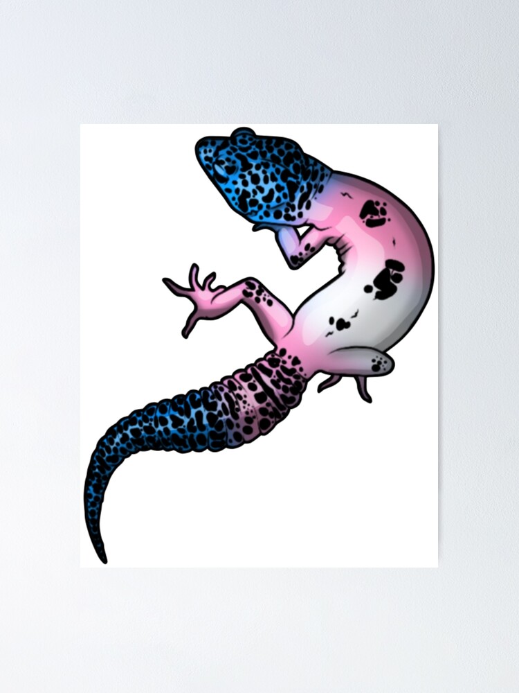 "Leopard Gecko Trans Pride Flag Design" Poster for Sale by ...