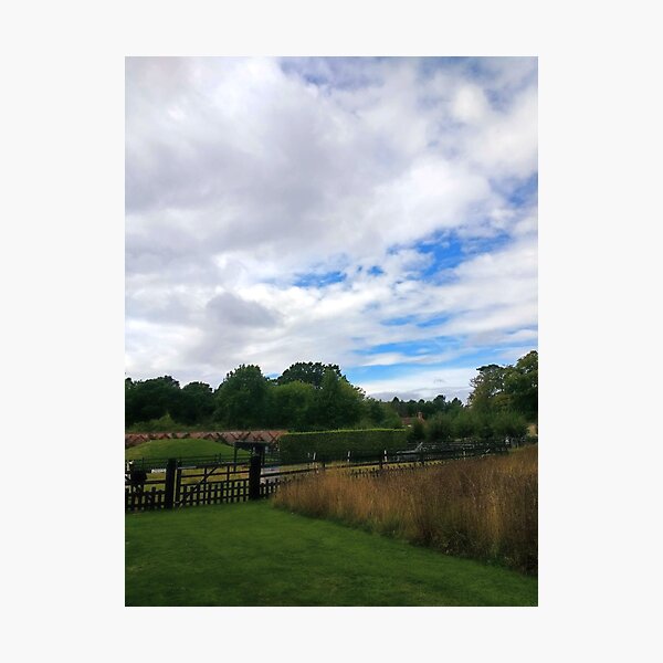 Lámina fotográfica «MI. #251 |☼| Descripción general del jardín - Toma ...