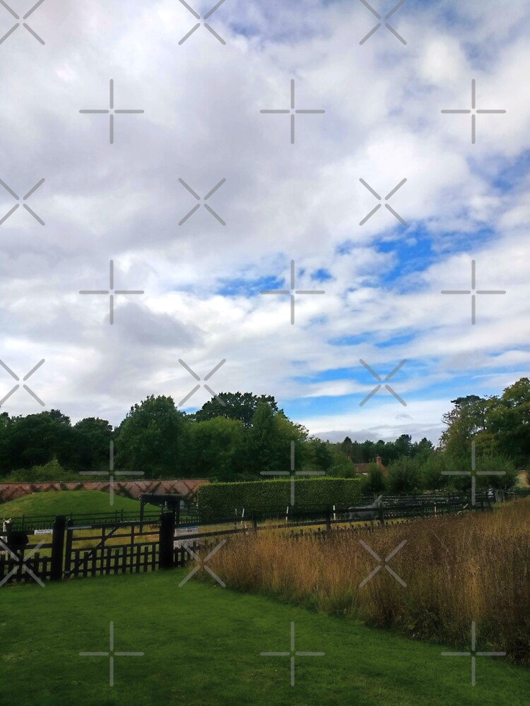 "M.I. #251 |☼| Garden Overview - Shot 1 (Elsham Hall, Gardens & Country ...