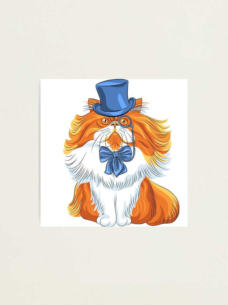 "Posh Cat" Photographic Print for Sale by traumfaenger | Redbubble