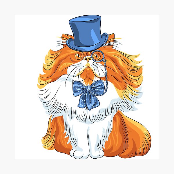 "Posh Cat" Photographic Print for Sale by traumfaenger | Redbubble