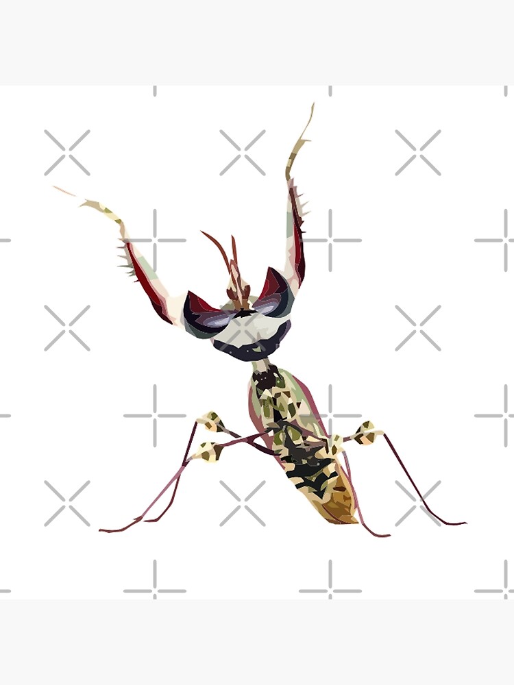 "Devil's Flower Mantis Digital Painting" Poster for Sale by gktb ...