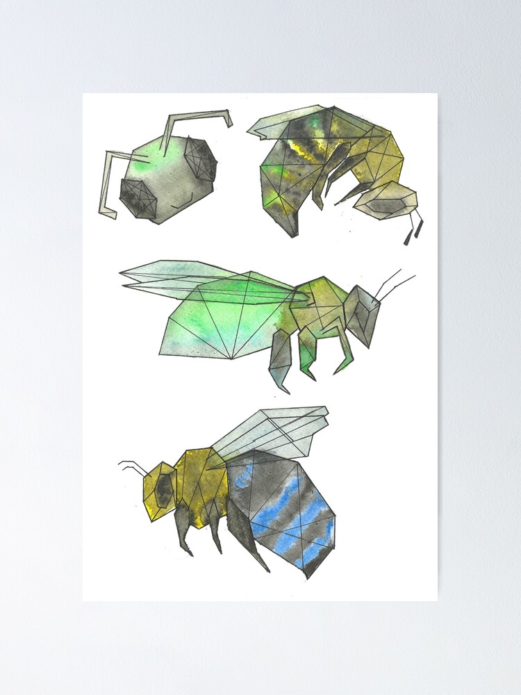 "Australian Native Bees" Poster for Sale by GeoZooBree | Redbubble
