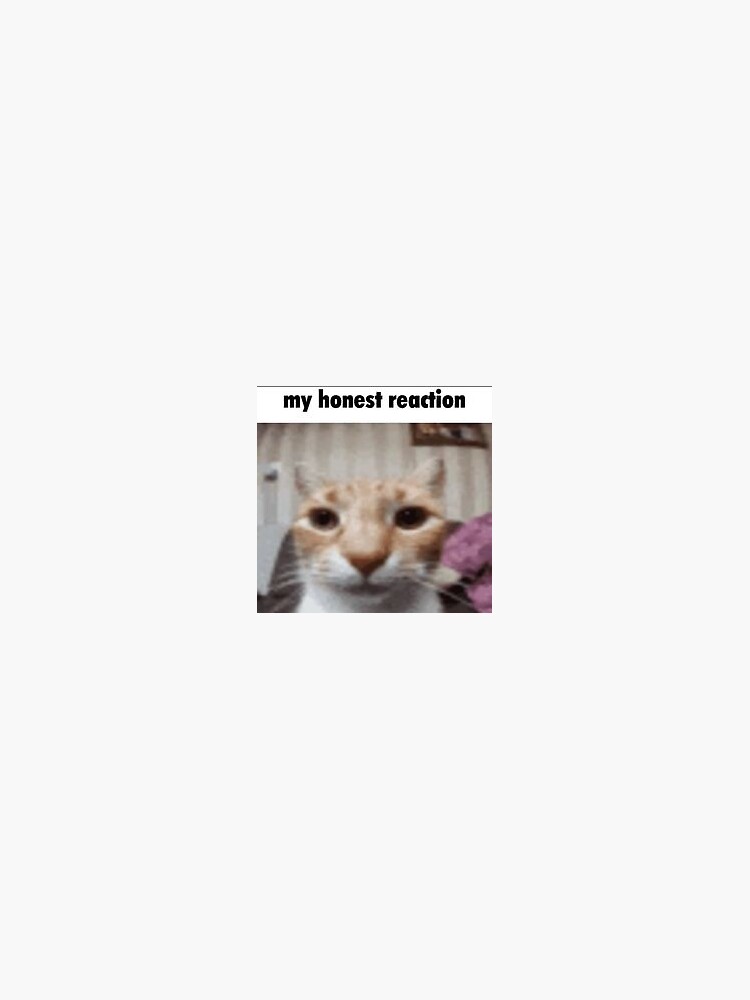 "My honest reaction cat meme" Sticker for Sale by Bryanxy3 | Redbubble