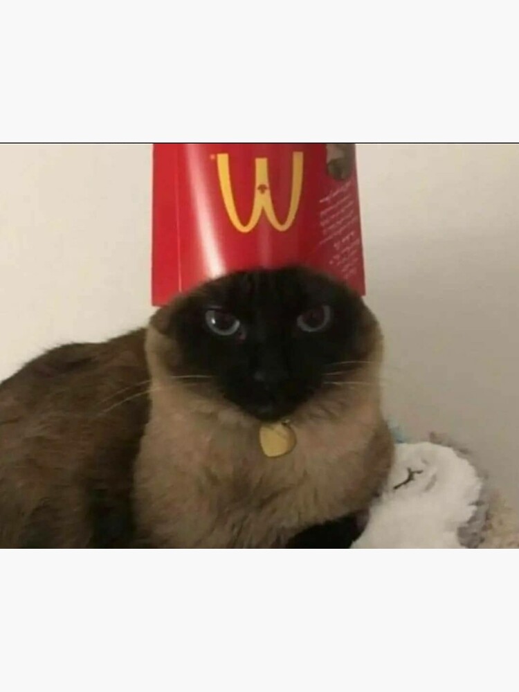 "Siamese cat with McDonald's fries hat" Sticker for Sale by Bryanxy3 ...