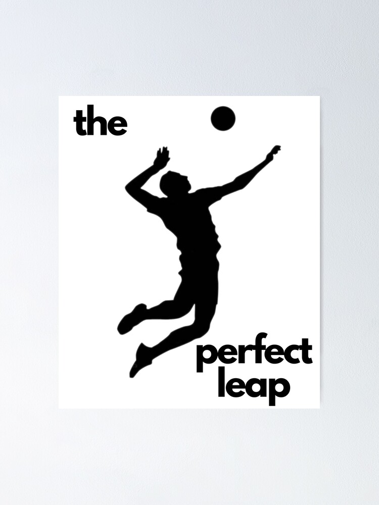 "the perfect leap" Poster for Sale by exclusivebucket | Redbubble