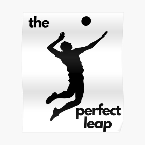"the perfect leap" Poster for Sale by exclusivebucket | Redbubble