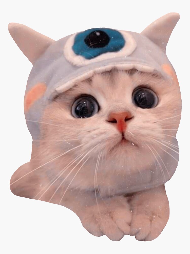 "Cute cat in hats #1" Sticker for Sale by qtfonts | Redbubble