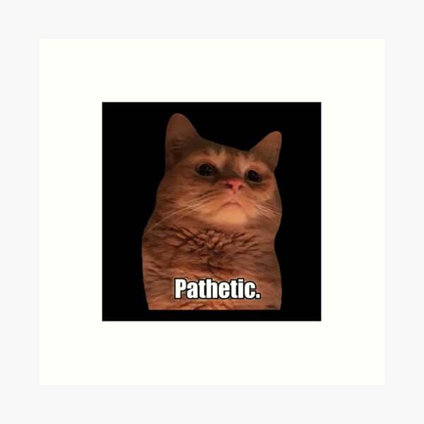 "HQ Pathetic Cat Meme Cursed Face" Art Print for Sale by fomodesigns ...