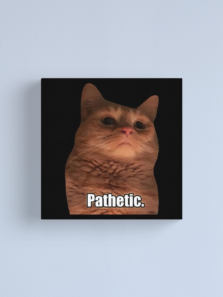Pathetic Face Memes