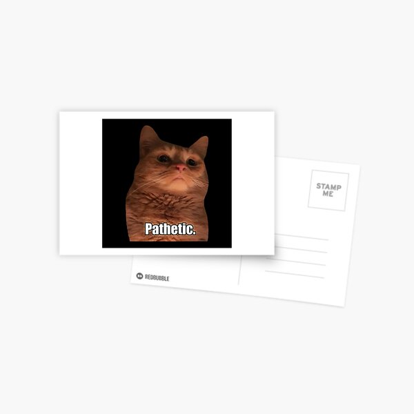"HQ Pathetic Cat Meme Cursed Face" Postcard for Sale by fomodesigns ...
