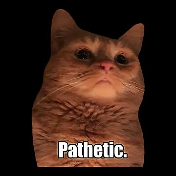 Pathetic Face Memes