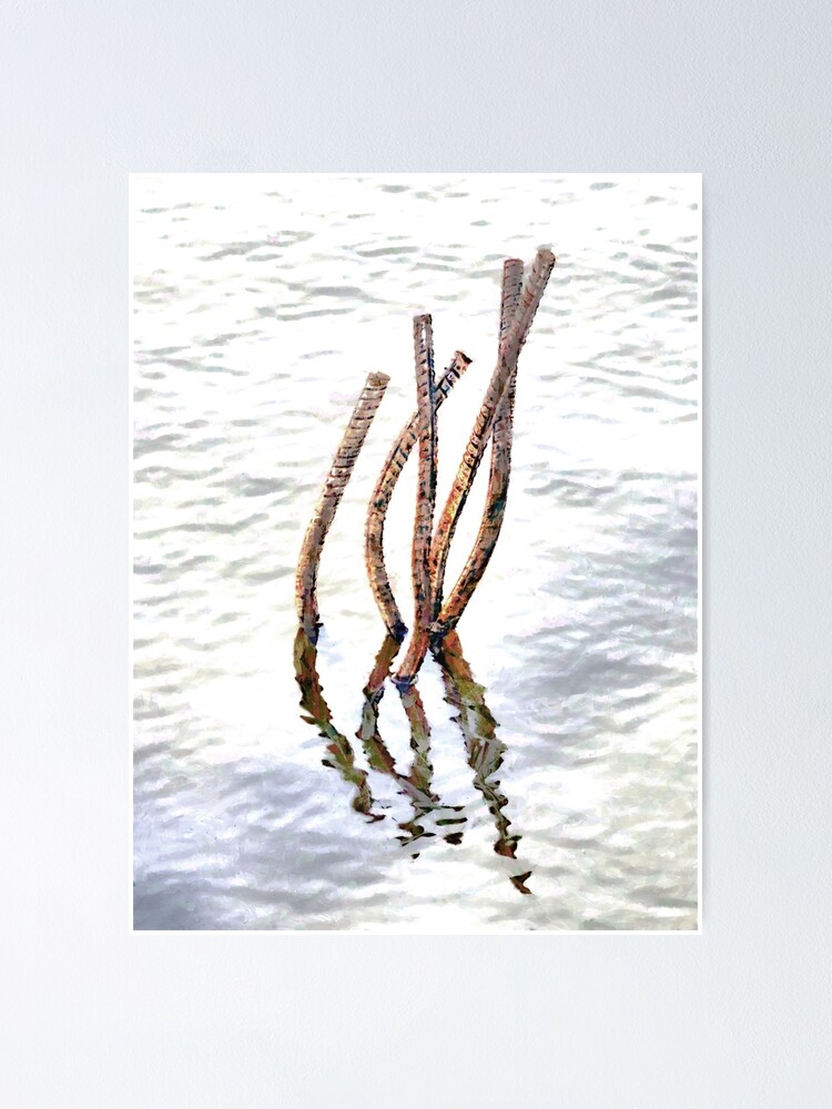 Poster for Sale avec l'œuvre « The Art of Rebar » de l'artiste ...